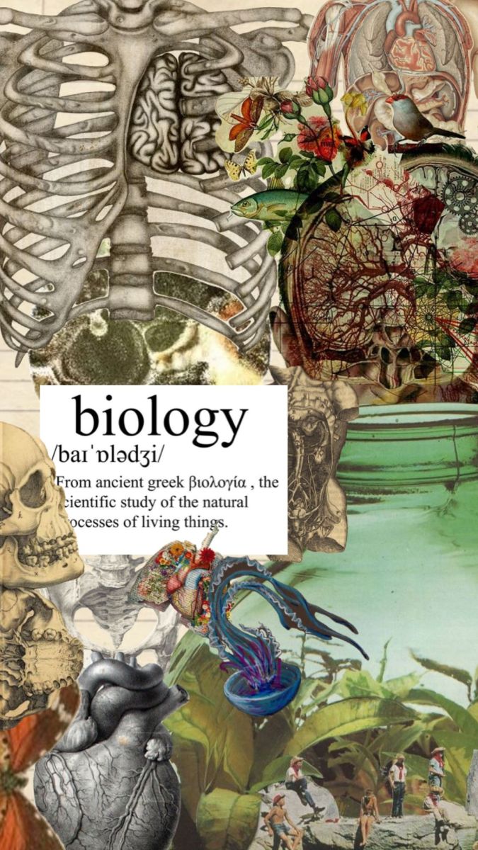 Biology notes AS Level (all chapters) – Diamond blog